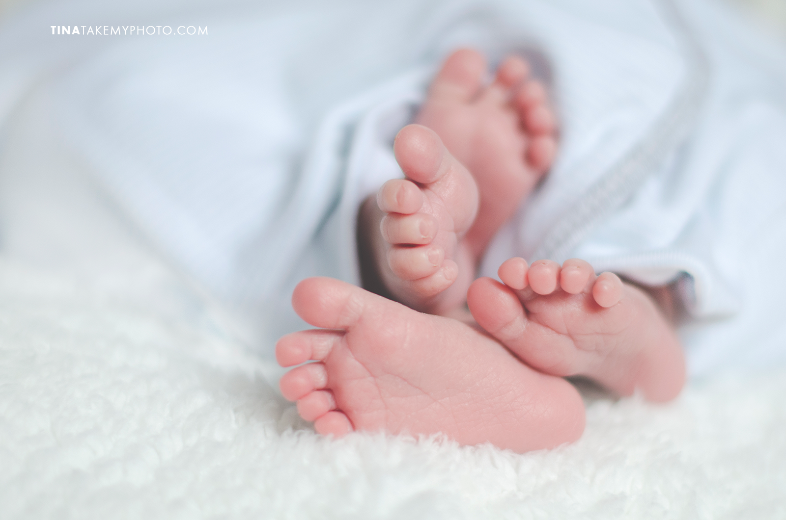 Tina Take My Photo | Professional Wedding, Family, Maternity, Senior ...